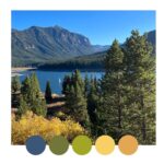 Color Palettes Inspired by Montana - Lucky Bee Creative Studio