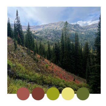 Color Palettes Inspired by Montana - Lucky Bee Creative Studio
