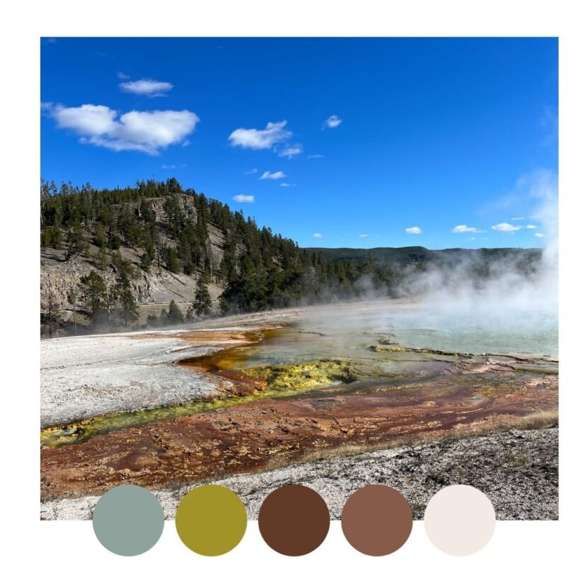 Color Palettes Inspired by Montana - Lucky Bee Creative Studio