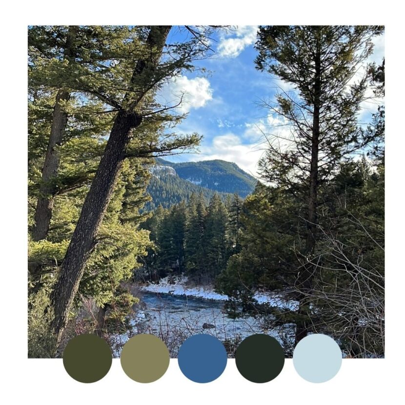 Color Palettes Inspired by Montana - Lucky Bee Creative Studio