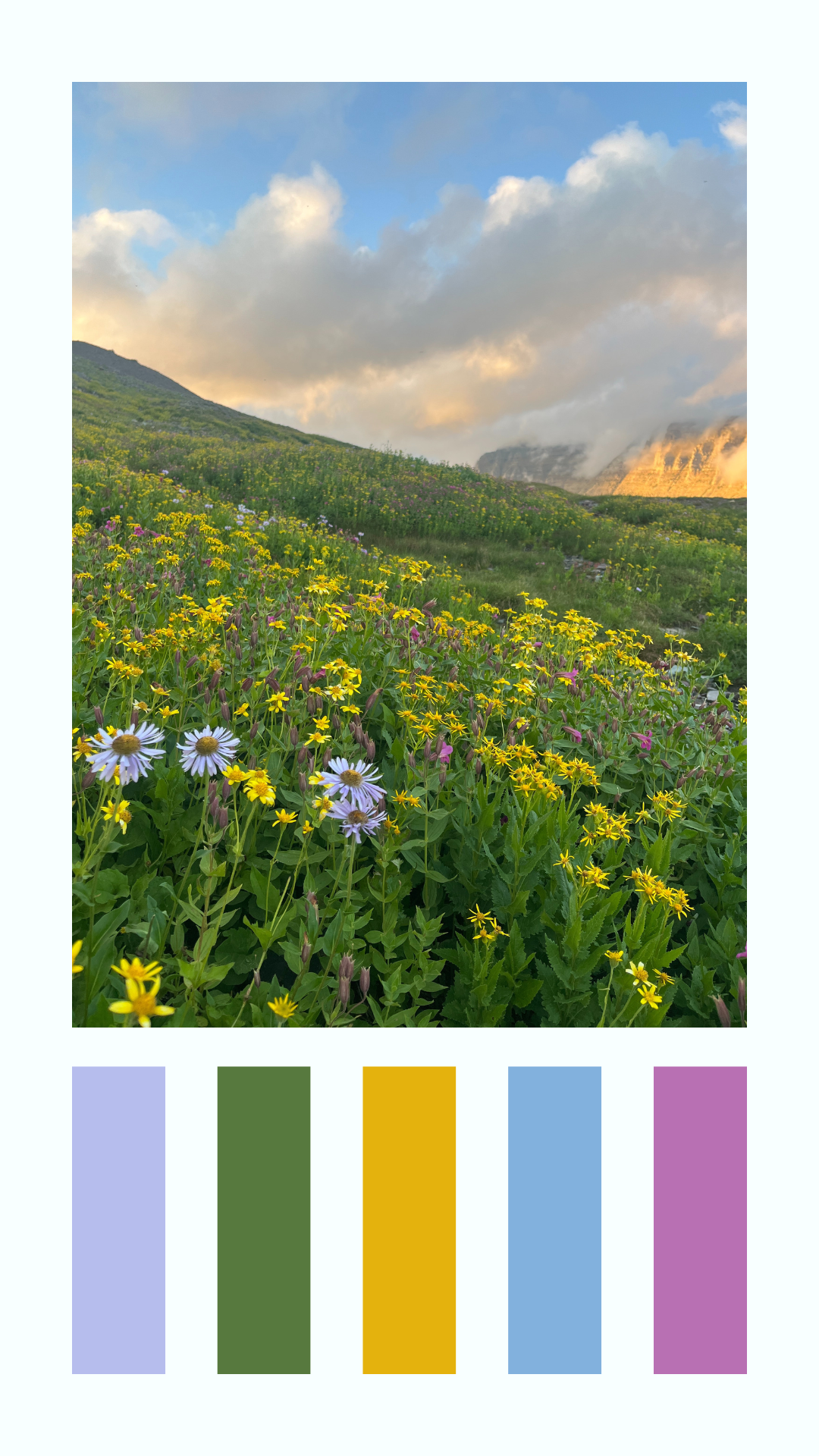 Color Palettes Inspired by Glacier National Park - Lucky Bee Creative ...