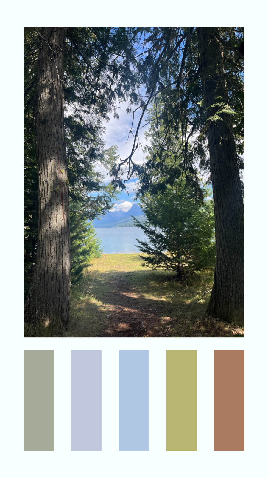 Color Palettes Inspired by Glacier National Park - Lucky Bee Creative ...