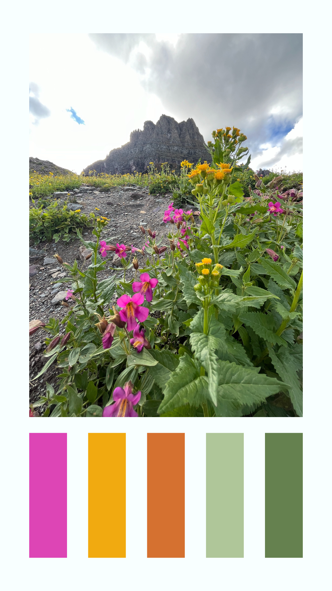 Color Palettes Inspired by Glacier National Park - Lucky Bee Creative ...